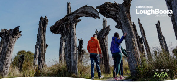 Lough Boora Discovery Park – AVEA – Association of Visitor Experiences ...